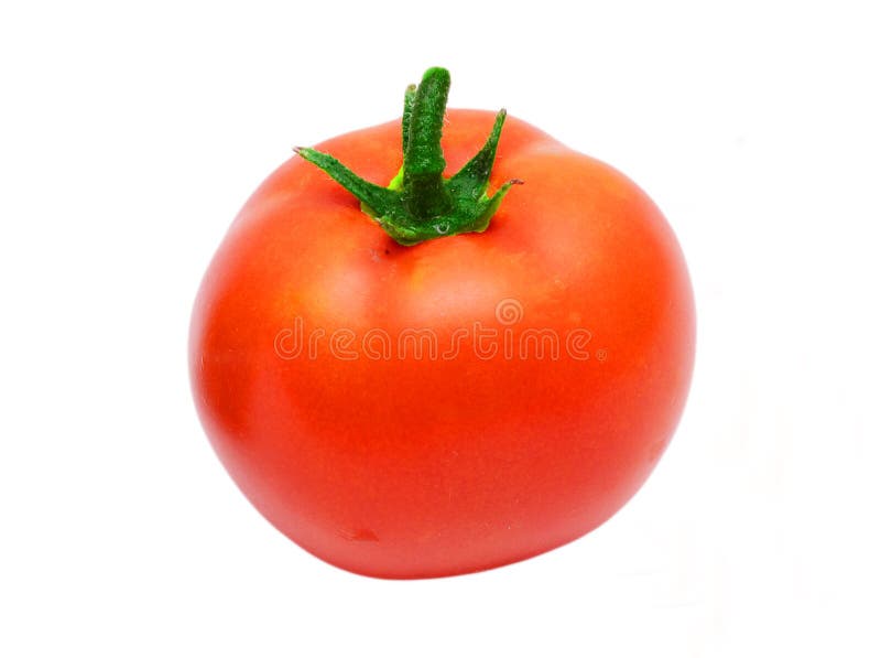 One single tomato on white stock image. Image of coapta - 154777171