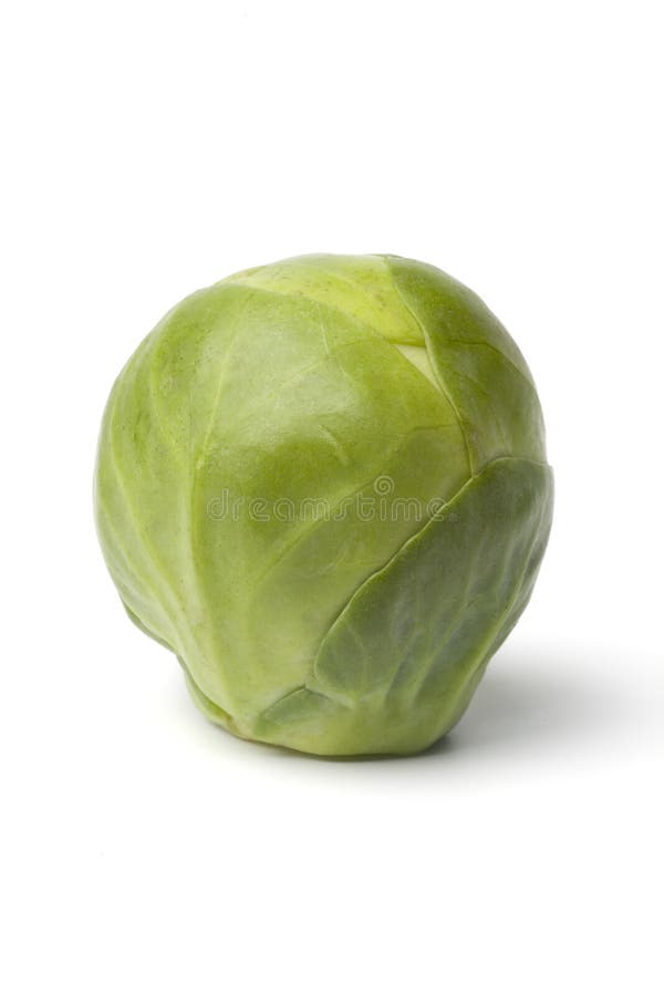 One Single Whole Brussels Sprout Stock Photo - Image of brussel ...