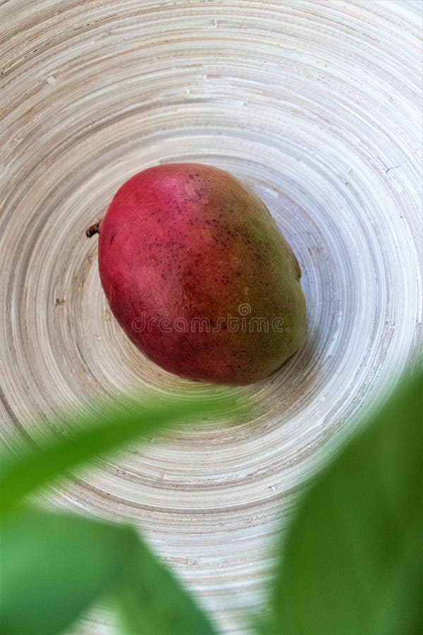 One Single Whole Mango Fruit in a Bamboo Dish Top View Stock Image ...