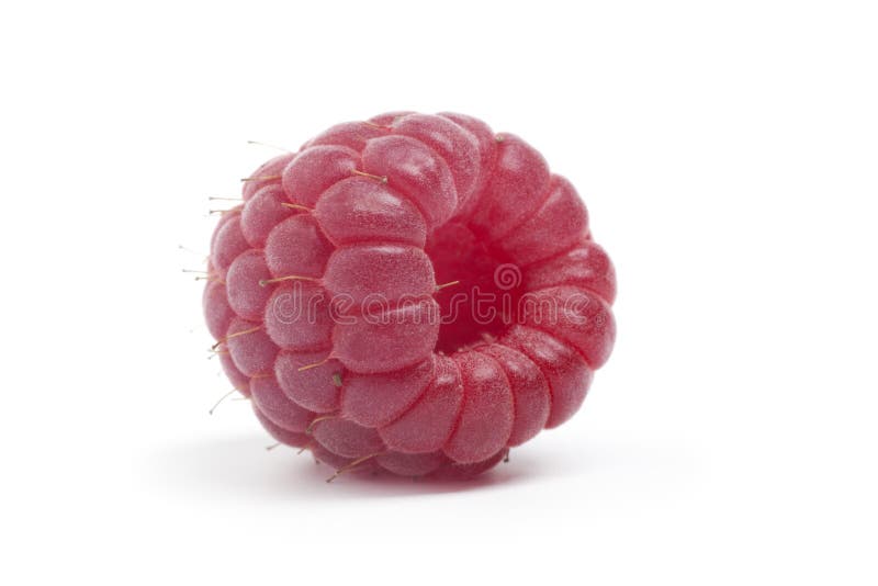 One single whole raspberry stock photo. Image of background - 13483550