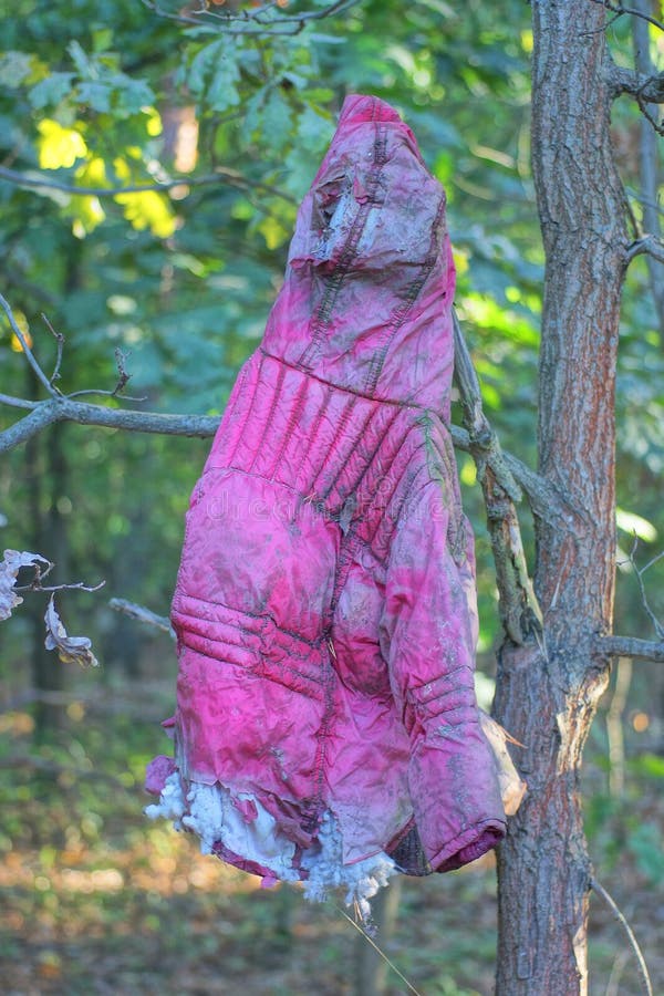 One Small Dirty Torn Old Red Jacket Hanging on a Tree Branch Stock ...
