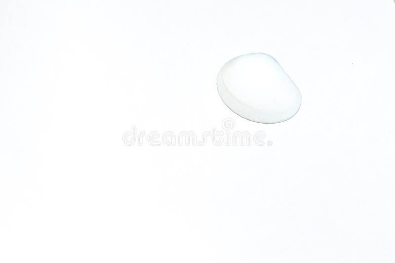 Smooth conch seashell stock image. Image of travel, beach - 13630953