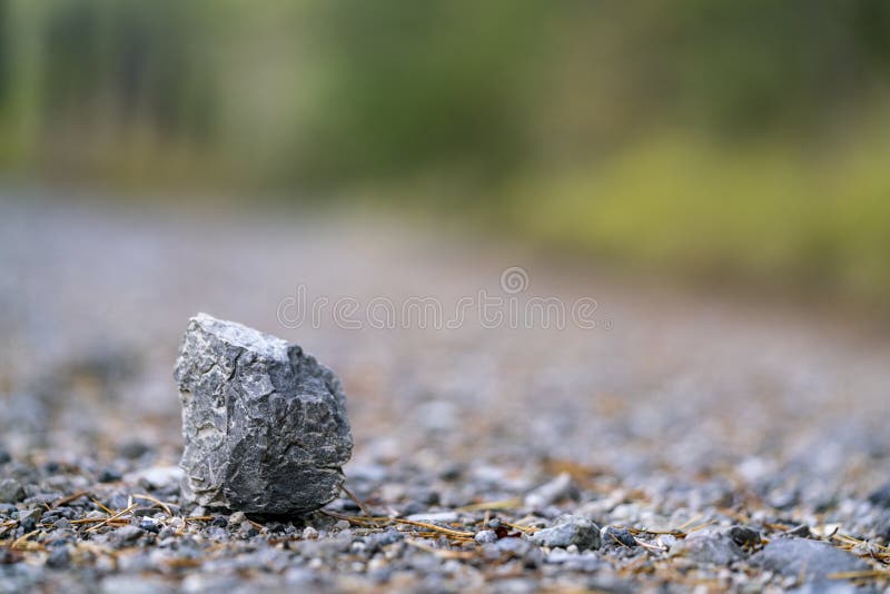 One Small Pebble Stone in Closeup Stock Photo - Image of gravel, focus ...