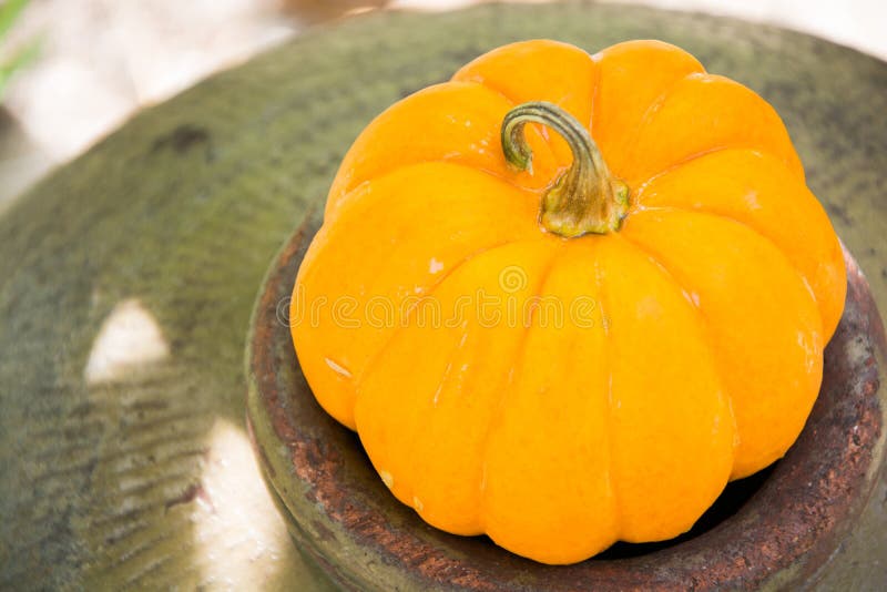 One small pumpkin stock photo. Image of drink, october - 46948868
