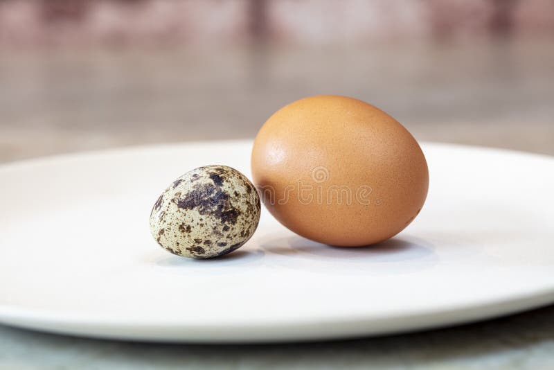 One Small Spotted Quail Egg and One Chicken Egg on a Plate Stock Image ...