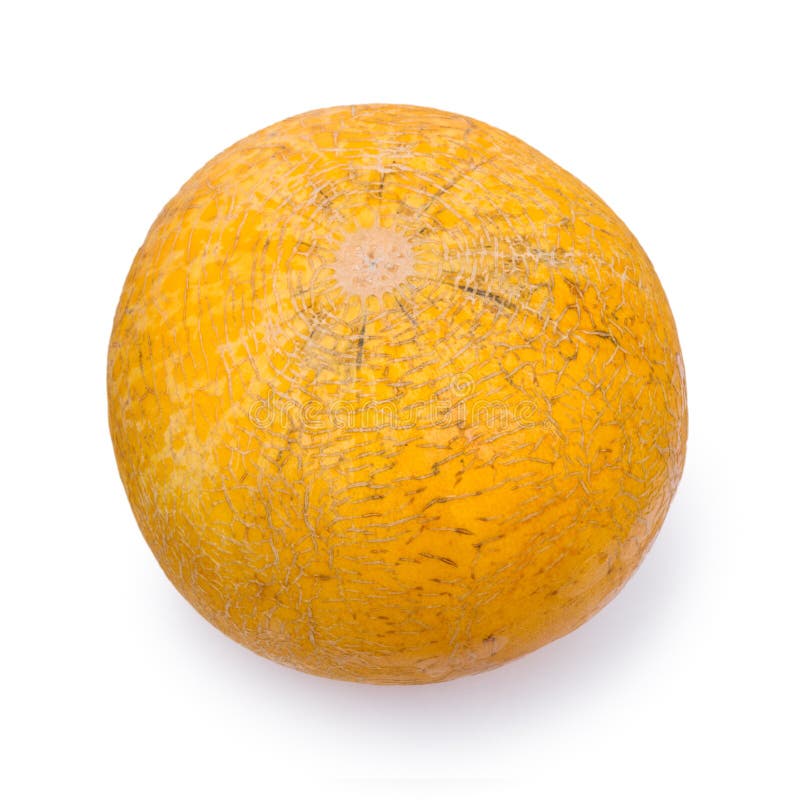 120 Small Yellow Muskmelon Stock Photos - Free & Royalty-Free Stock ...