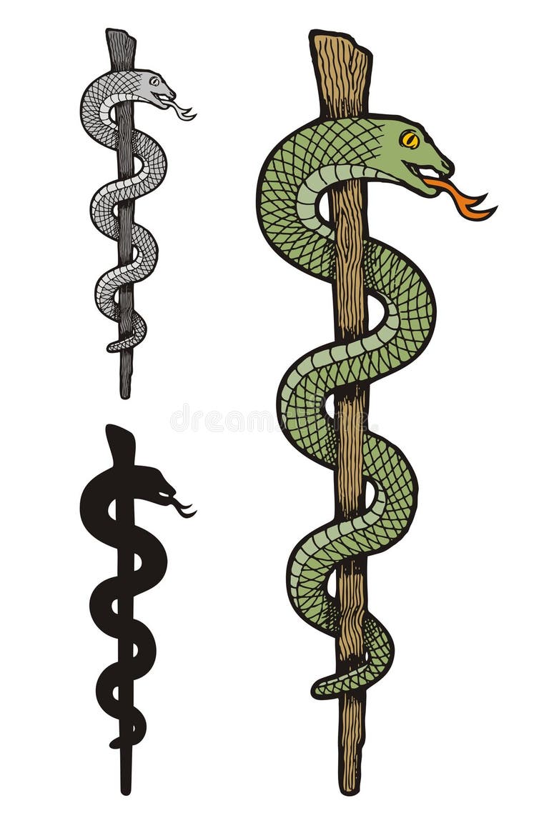 Snake Scale Stock Illustrations – 13,951 Snake Scale Stock ...