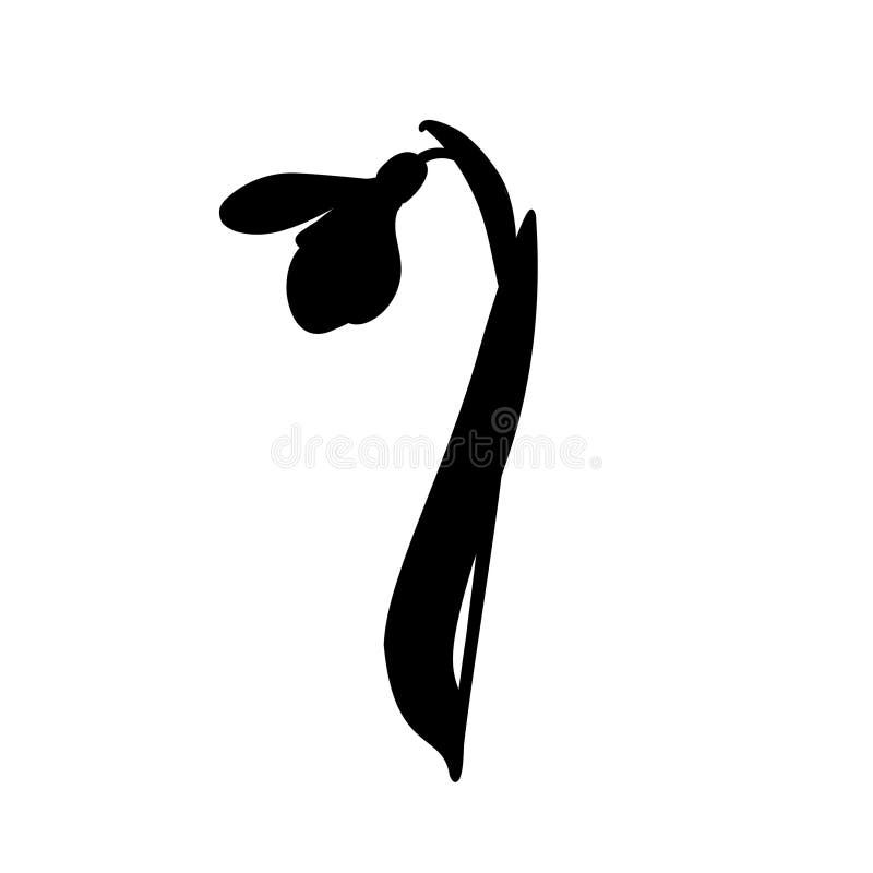 Vector Illustration of Early First Spring Flower Snowdrop. Shape. Stock ...
