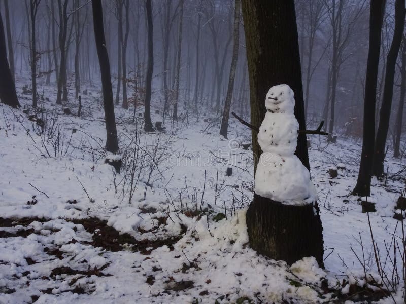 One Snowman Standing on a Tree Trunk in the Forest with Snow Stock ...