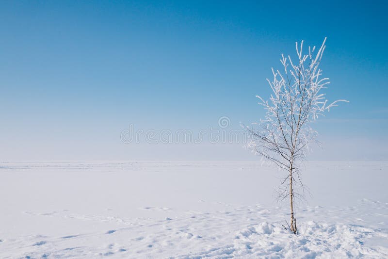 Footprints in the snow stock image. Image of january - 250749347