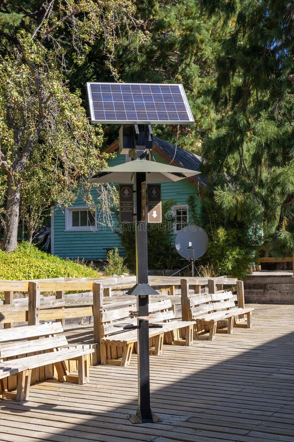 One Solar Panel in a Pole Near a Modern House in the Middle of a Forest ...
