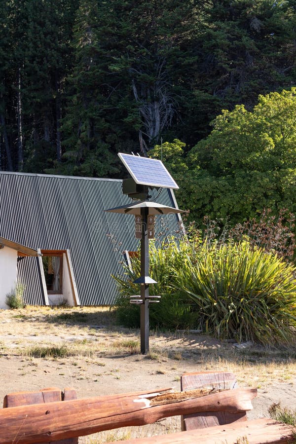 One Solar Panel in a Pole Near a Modern House in the Middle of a Forest ...