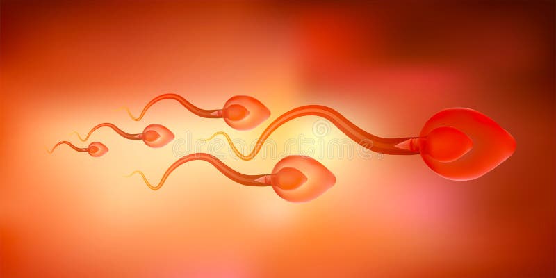 One Sperm is Human Semen. in the White Back Stock Vector - Illustration ...