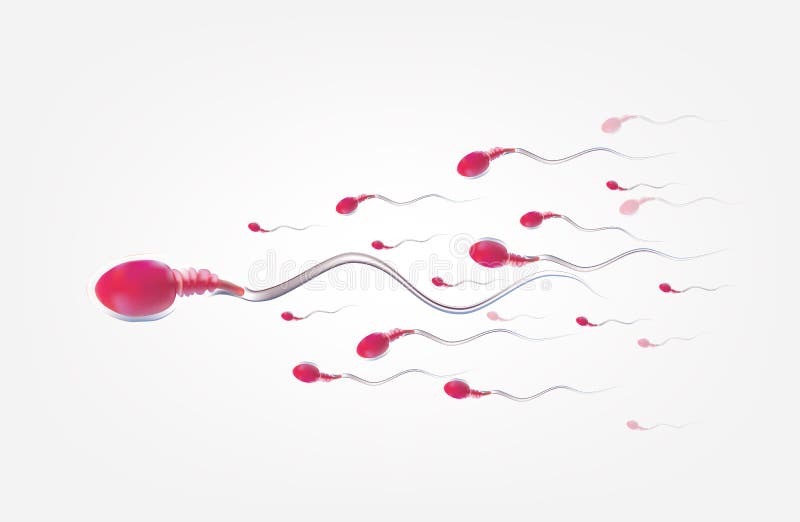 One Sperm is Human Semen. in the White Back Stock Illustration ...