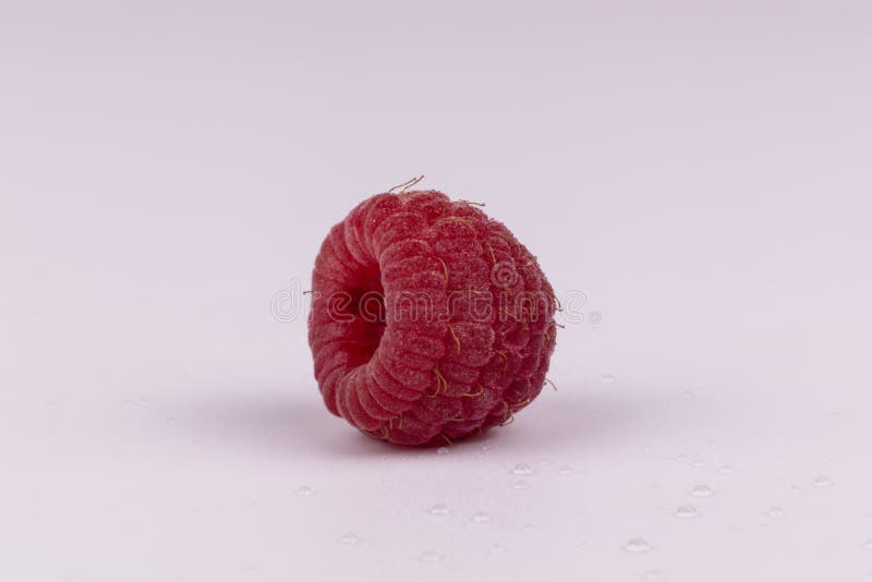 One Splattered with Water Red Organic Juicy Raspberry Front View Stock ...