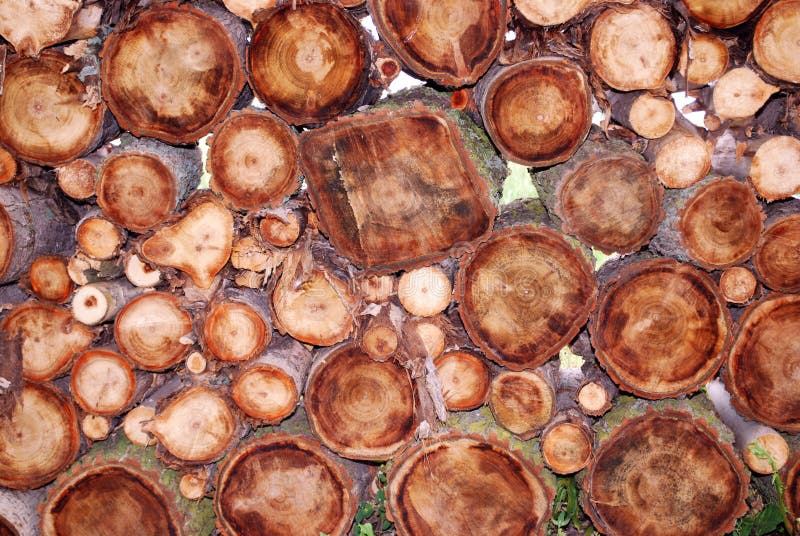 One Square Log stock photo. Image of wood, piled, square - 51902534