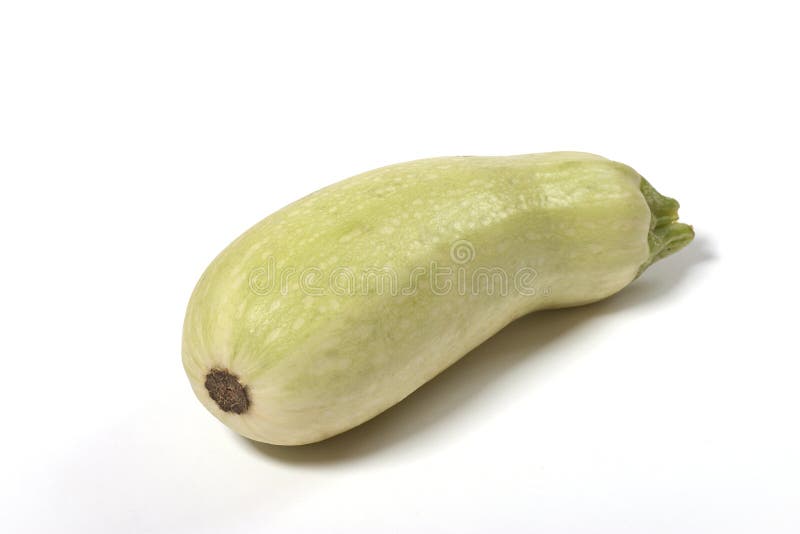 One squash stock image. Image of agriculture, veggie, marrow - 716679