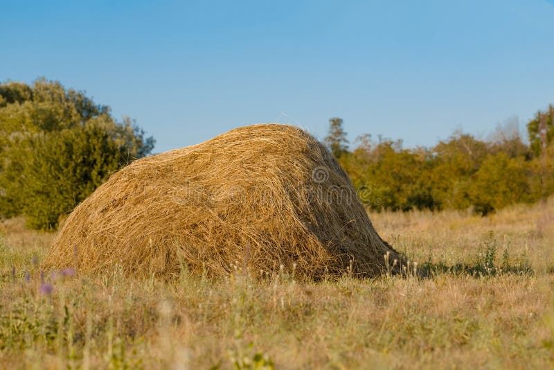 One Straw Stack. Photo Close-up in Summer Stock Image - Image of autumn ...