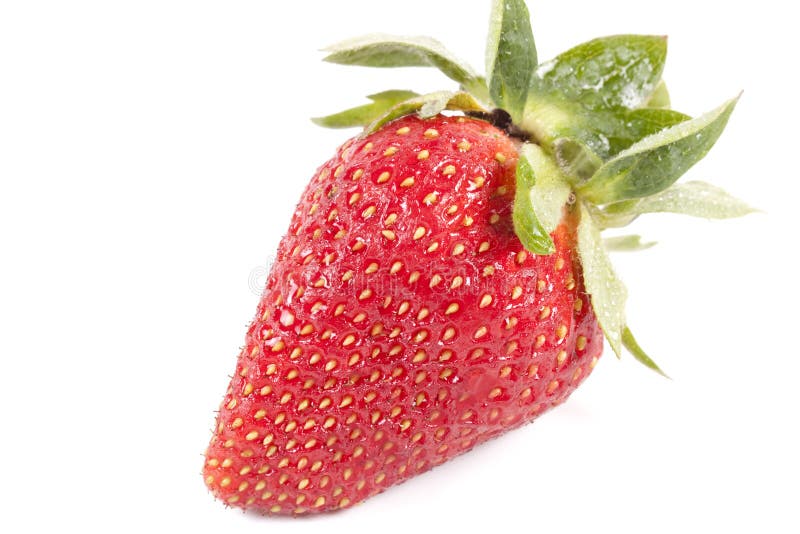 One strawberry stock image. Image of background, nature - 14578027