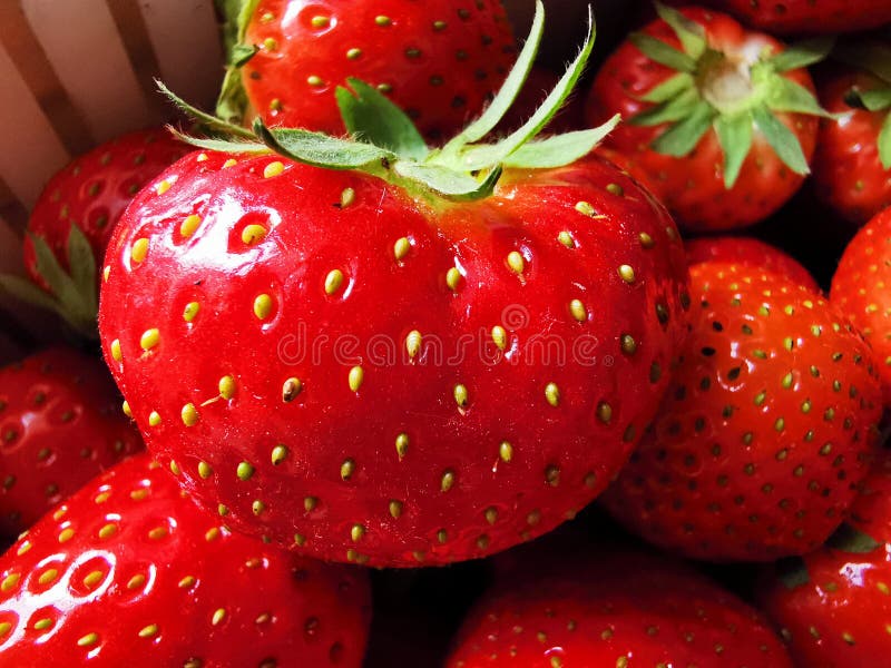 One Strawberry. Delicious Red Colour Stock Image - Image of strawberr ...