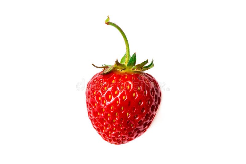One Strawberry Isolated on White Background Stock Image - Image of ...