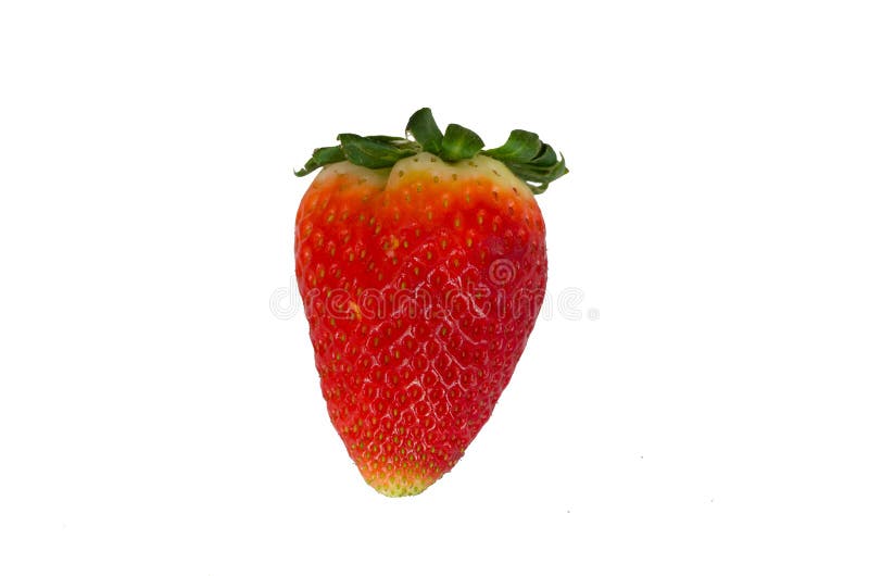 One Strawberry Isolated on White Background Stock Image - Image of ...