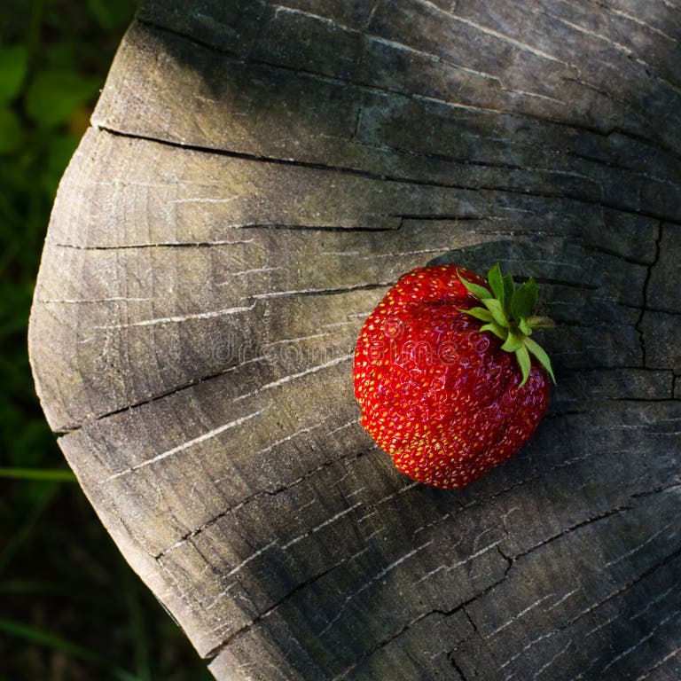 One Strawberry on a Wooden Surface Stock Photo - Image of food, crevice ...