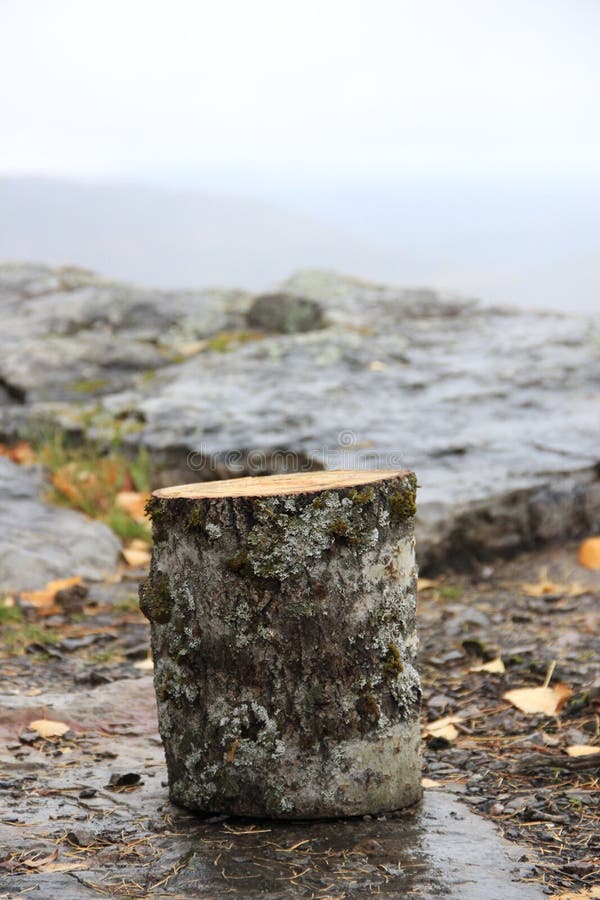 One stump stock photo. Image of left, elevation, city - 50053710