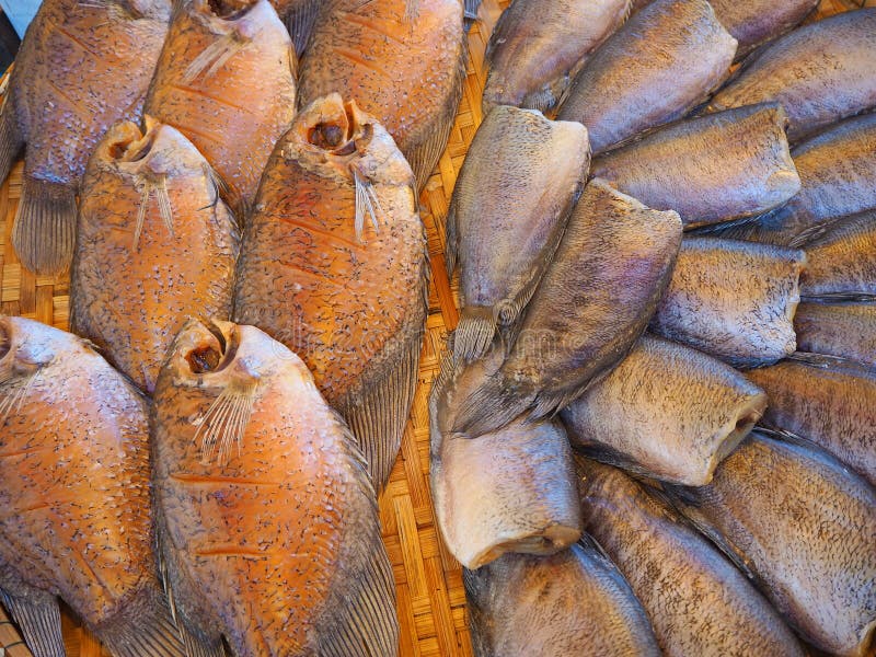 One Sunny Fish on a Wooden Tray. Stock Image - Image of closeup ...