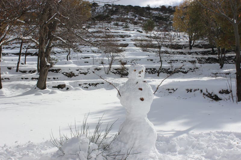 Snowman is Waiting for Spring Stock Image - Image of chilly, trees ...