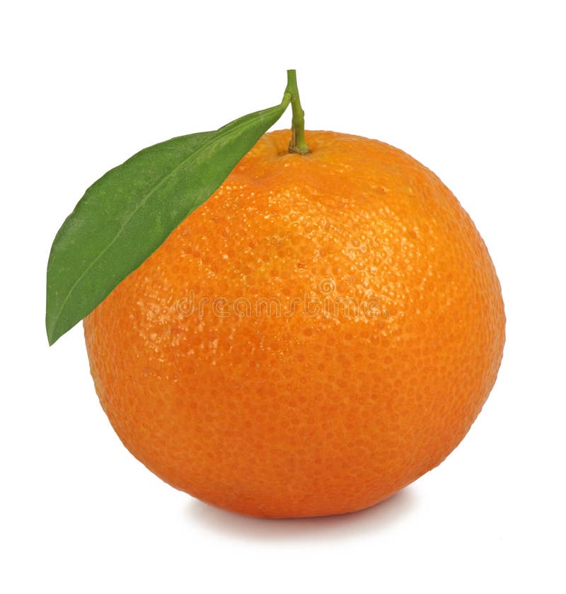 Orange stock photo. Image of shot, closeup, citrus, background - 42424404