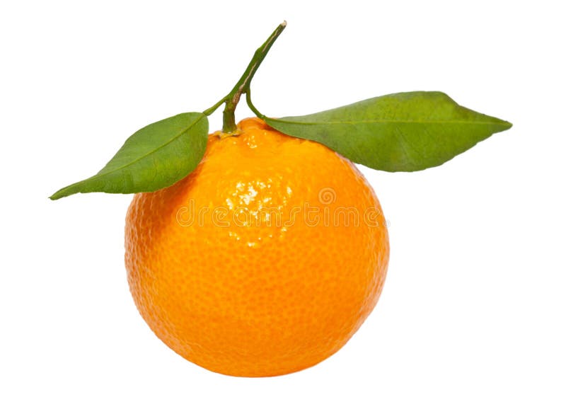 One tangerine stock image. Image of food, juicy, mandarin - 32143293