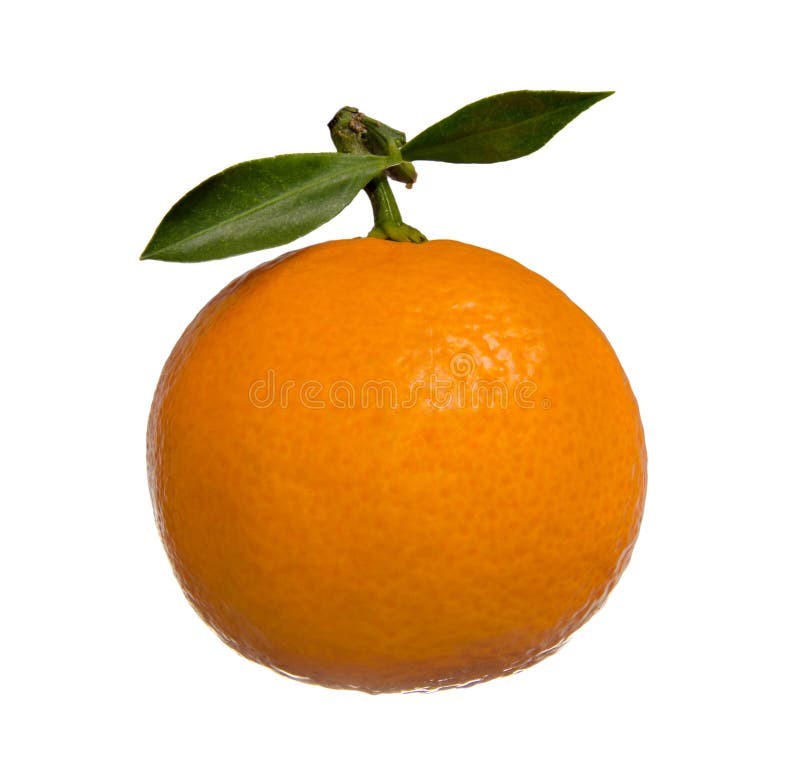 One tangerine isolated stock image. Image of eating - 133341395