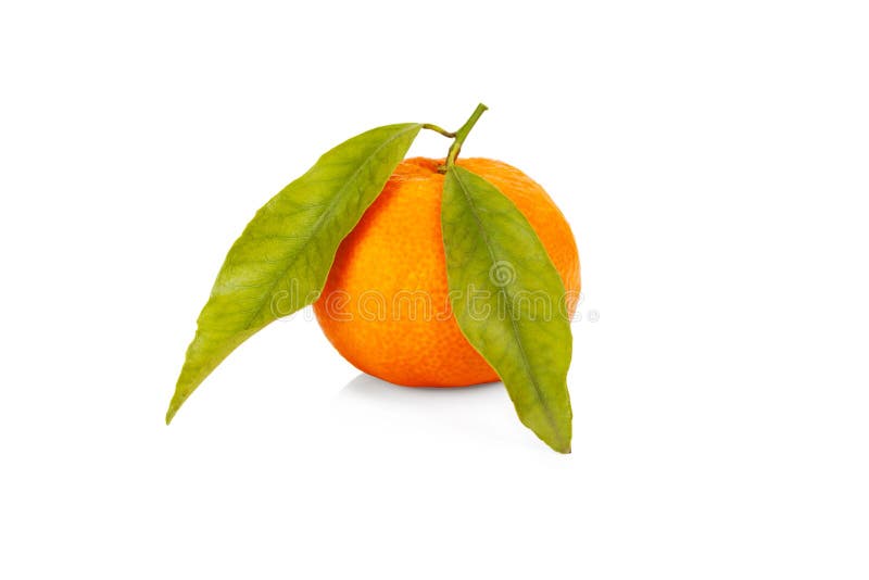 One Tangerine with Leaves Isolated Stock Photo - Image of fruit, fresh ...