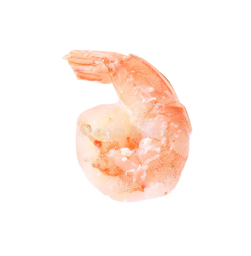 One Tasty Boiled Shrimp Isolated on White Stock Image - Image of boiled ...