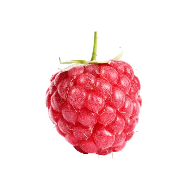 One Tasty Fresh Raspberry Isolated on White Stock Image - Image of food ...