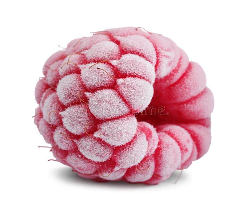 One Tasty Frozen Raspberry Isolated on White Stock Image - Image of ...