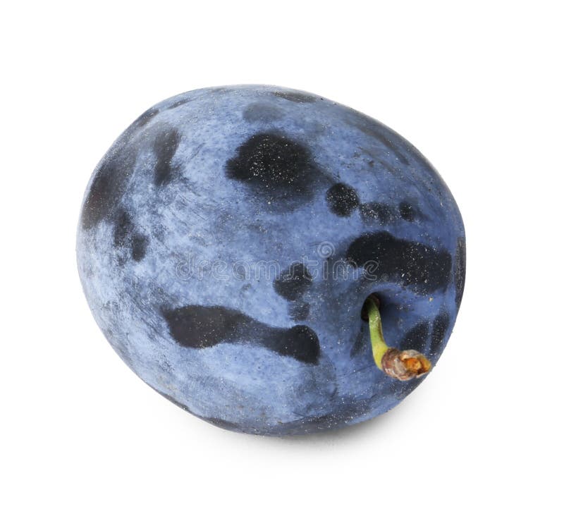 One Tasty Plum Isolated on White. Fresh Berry Stock Photo - Image of ...