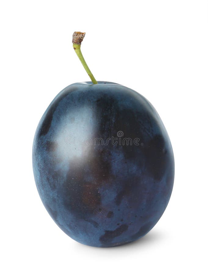 One Tasty Plum Isolated on White. Fresh Berry Stock Image - Image of ...