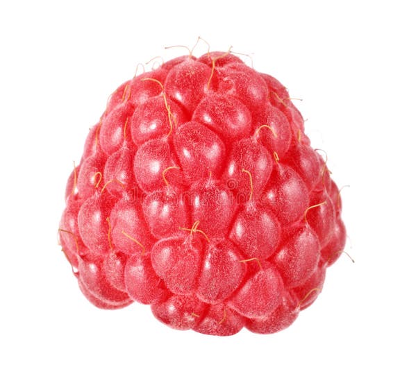 One Tasty Ripe Raspberry Isolated on White Stock Image - Image of ...