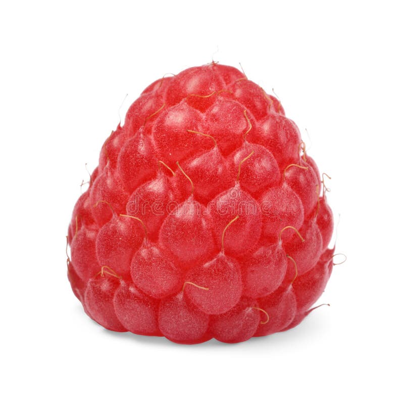 One Tasty Ripe Raspberry Isolated on White Stock Photo - Image of food ...