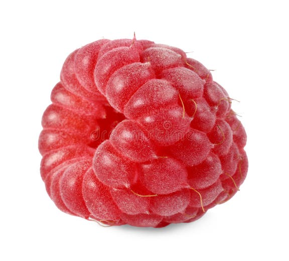 One Tasty Ripe Raspberry Isolated on White Stock Photo - Image of food ...