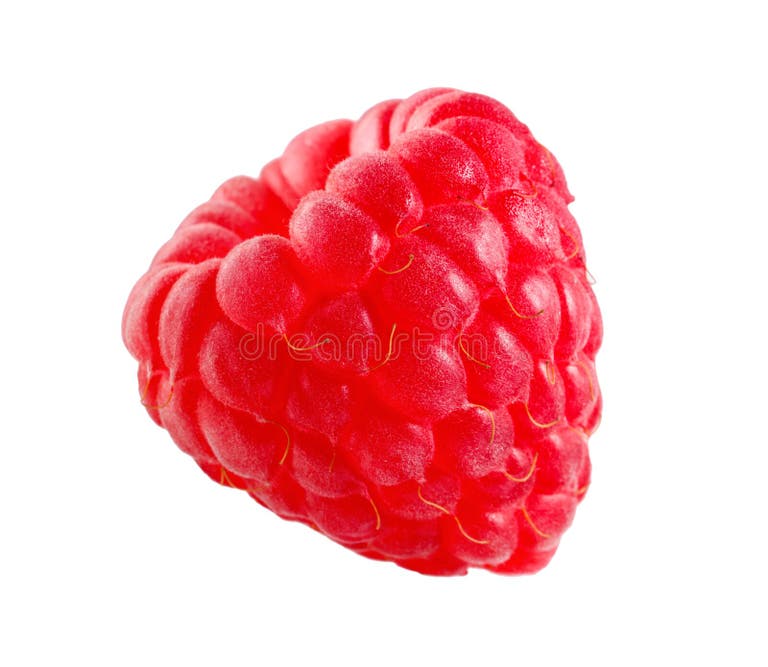 One Tasty Ripe Raspberry Isolated on White Stock Image - Image of fresh ...