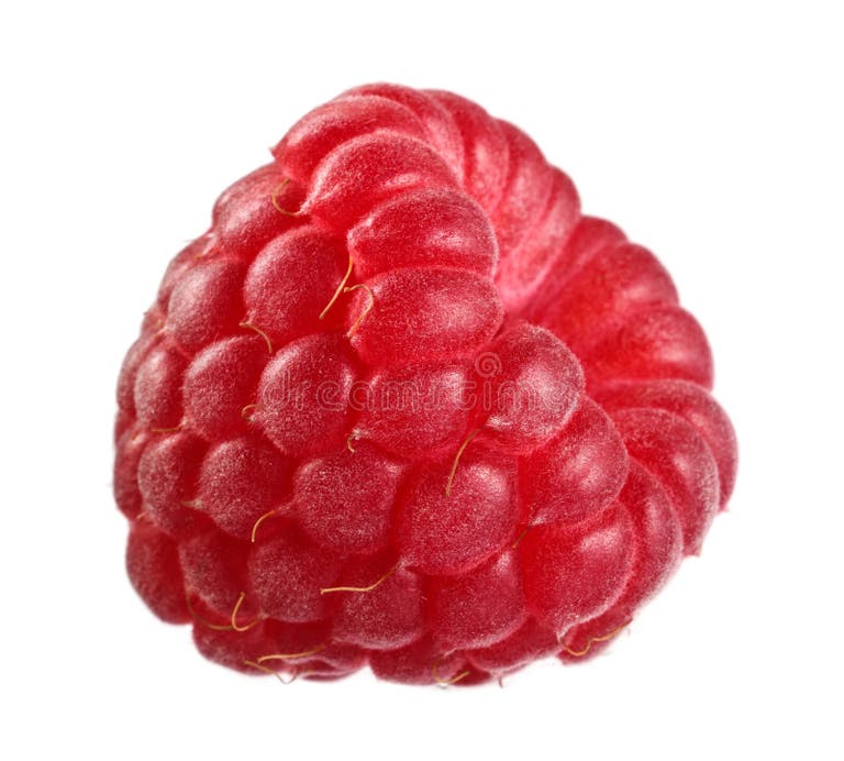 One Tasty Ripe Raspberry Isolated on White Stock Photo - Image of food ...