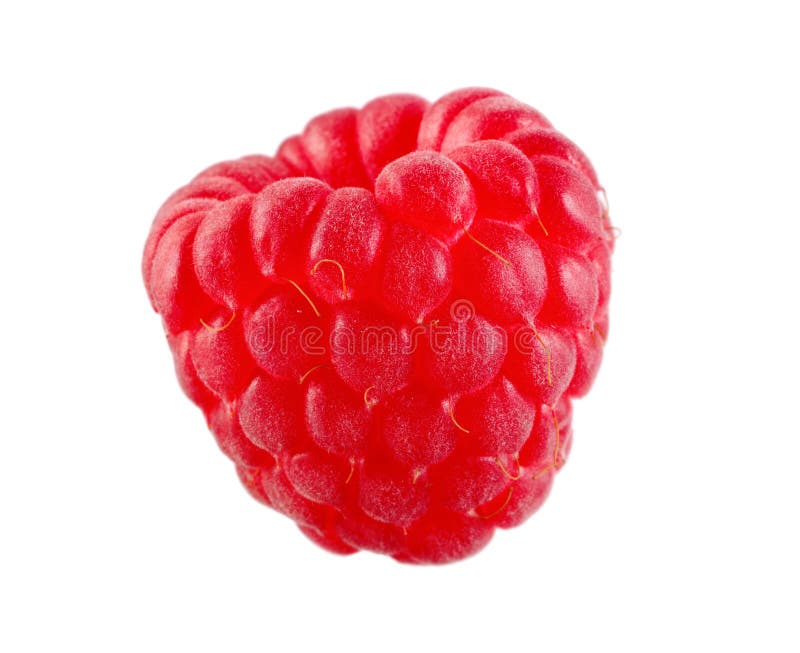 One Tasty Ripe Raspberry Isolated on White Stock Image - Image of ...