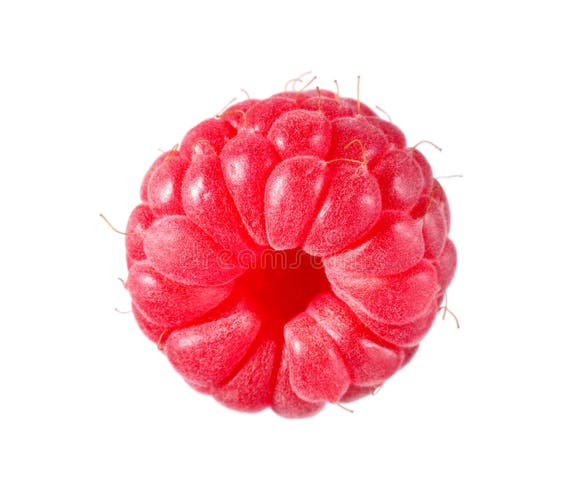 One Tasty Ripe Raspberry Isolated on White Stock Image - Image of berry ...