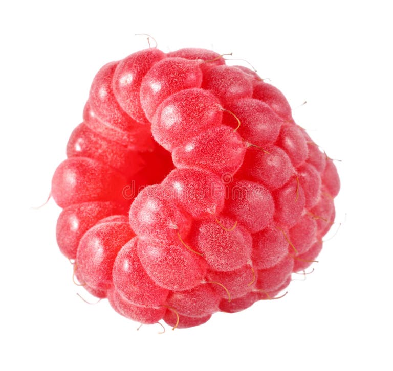 One Tasty Ripe Raspberry Isolated on White Stock Image - Image of ...