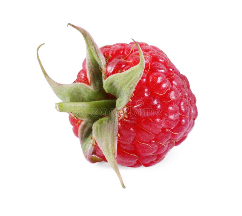 One Tasty Ripe Raspberry Isolated on White Stock Photo - Image of ...