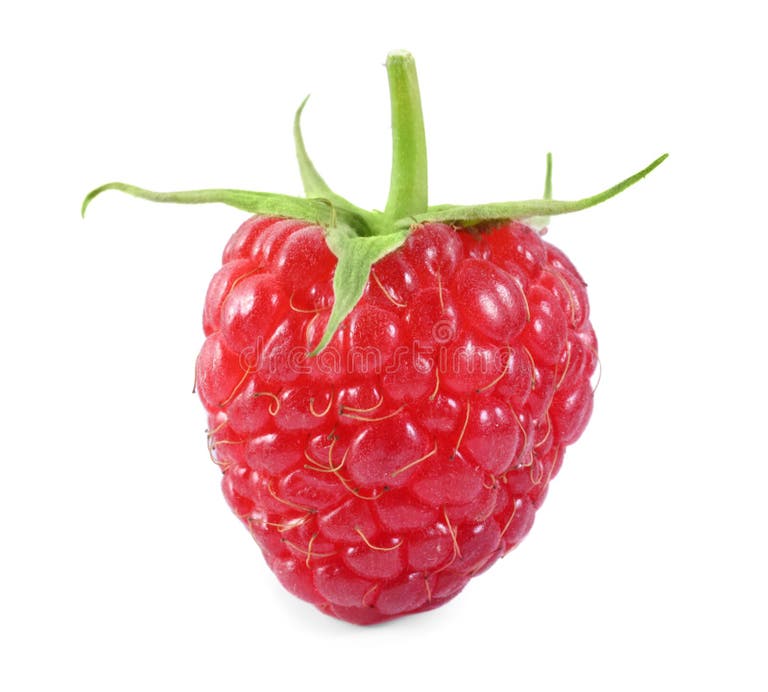 One Tasty Ripe Raspberry Isolated on White Stock Image - Image of ...
