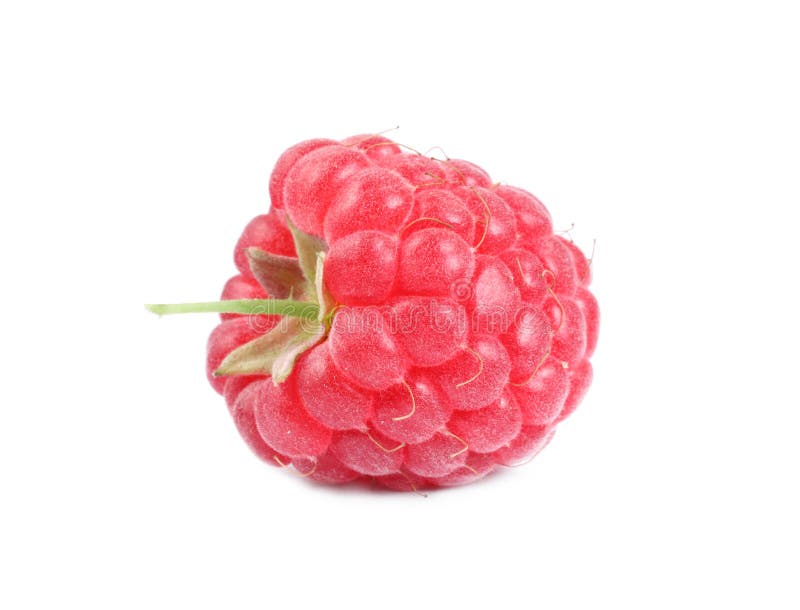 One Tasty Ripe Raspberry Isolated on White Stock Image - Image of ...